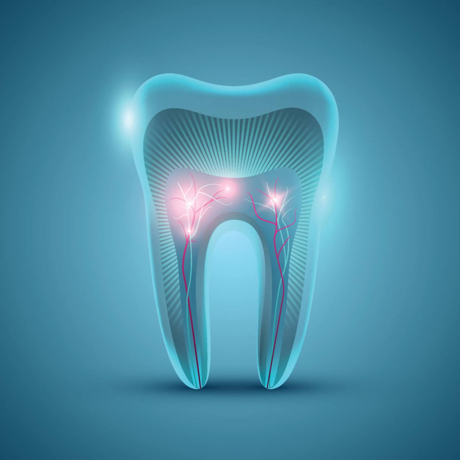 Root Canals: What to Expect Before, During, and After